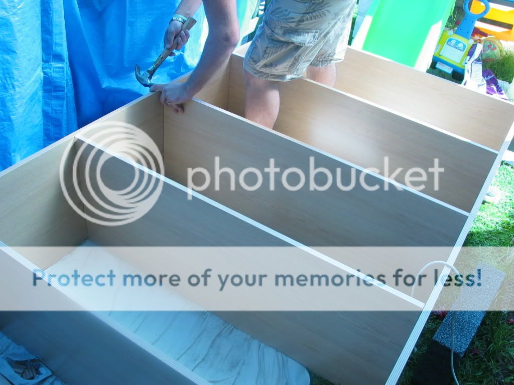 viv stack progress | Reptile Forums