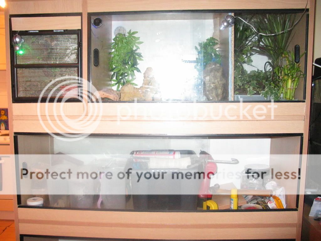 Building a viv stack | Reptile Forums