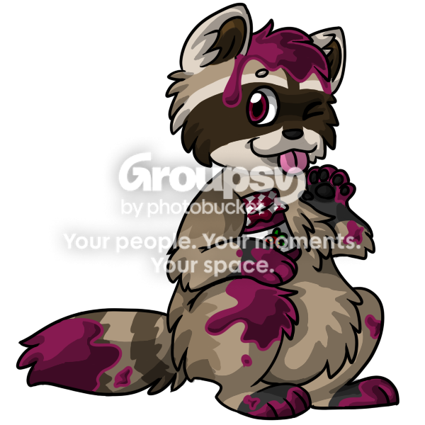 Pet Info - Subeta