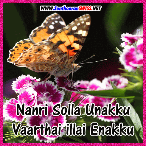 Nandri by Senthooran Saba | Photobucket