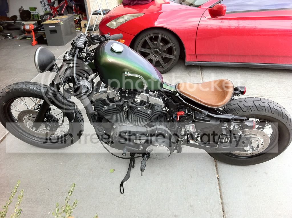 Nightster tank on my 48..... - Page 2 - Harley Davidson Forums